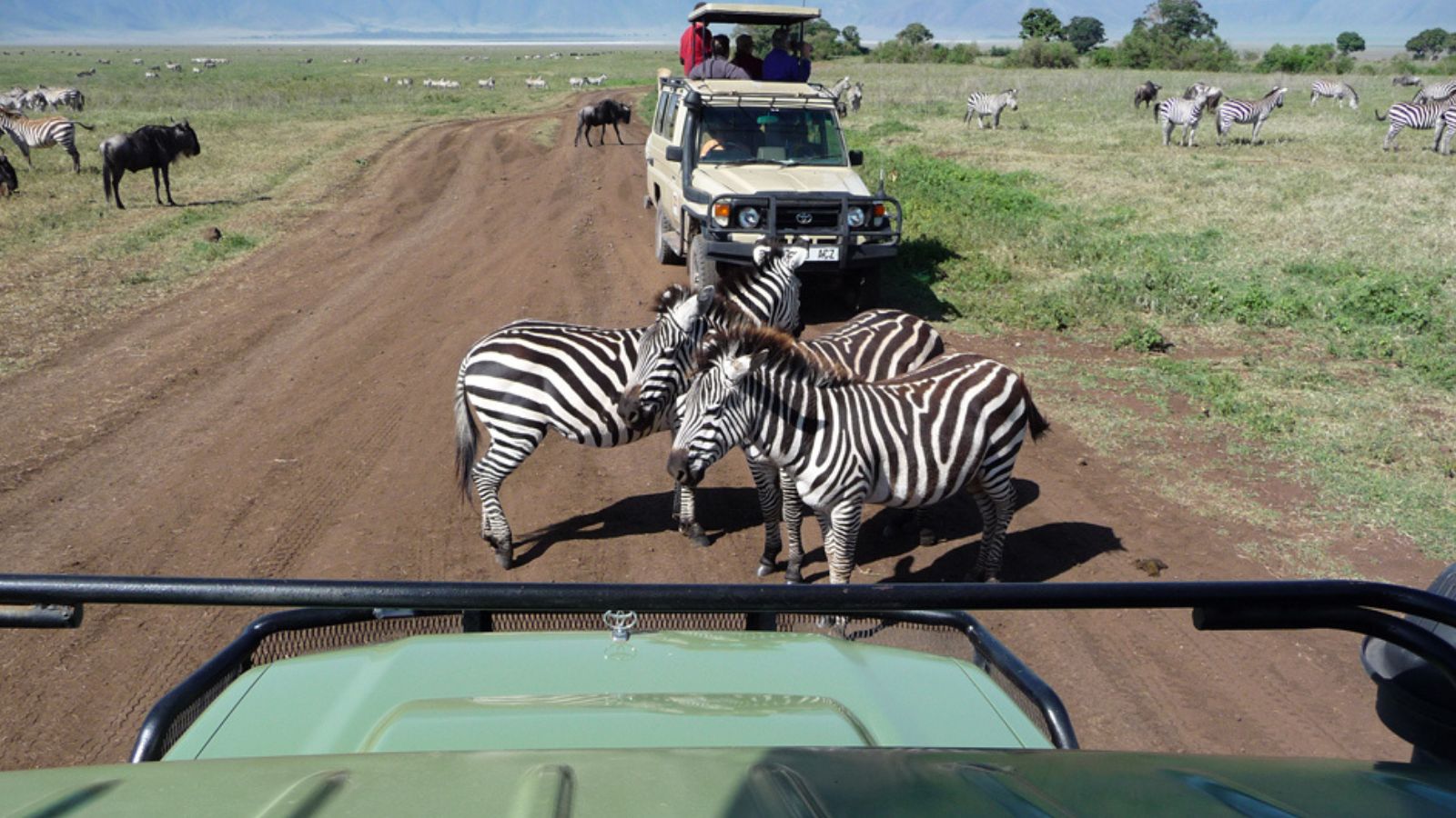 Cosmos review: Affordable tours that don't skimp on experiences - Tour ...