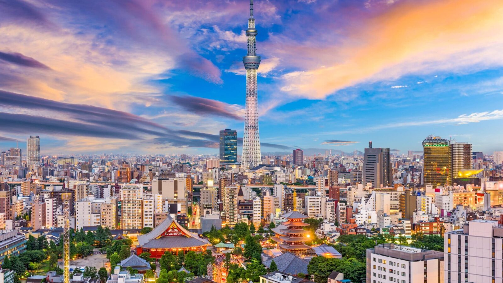 10 Best Japan Tours to Take in 2024 - Tour Scoop